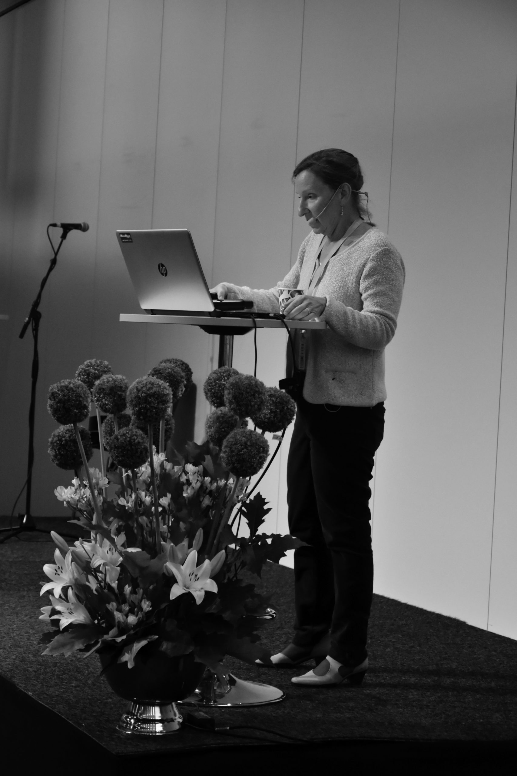 Susanne Bejerot – SANE